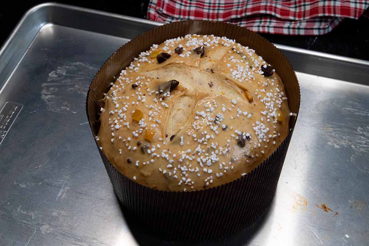 Chocolate Orange Panettone Recipe - Don't Sweat The Recipe