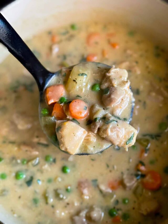 Easy Creamy One Pot Chicken Stew - Don't Sweat The Recipe
