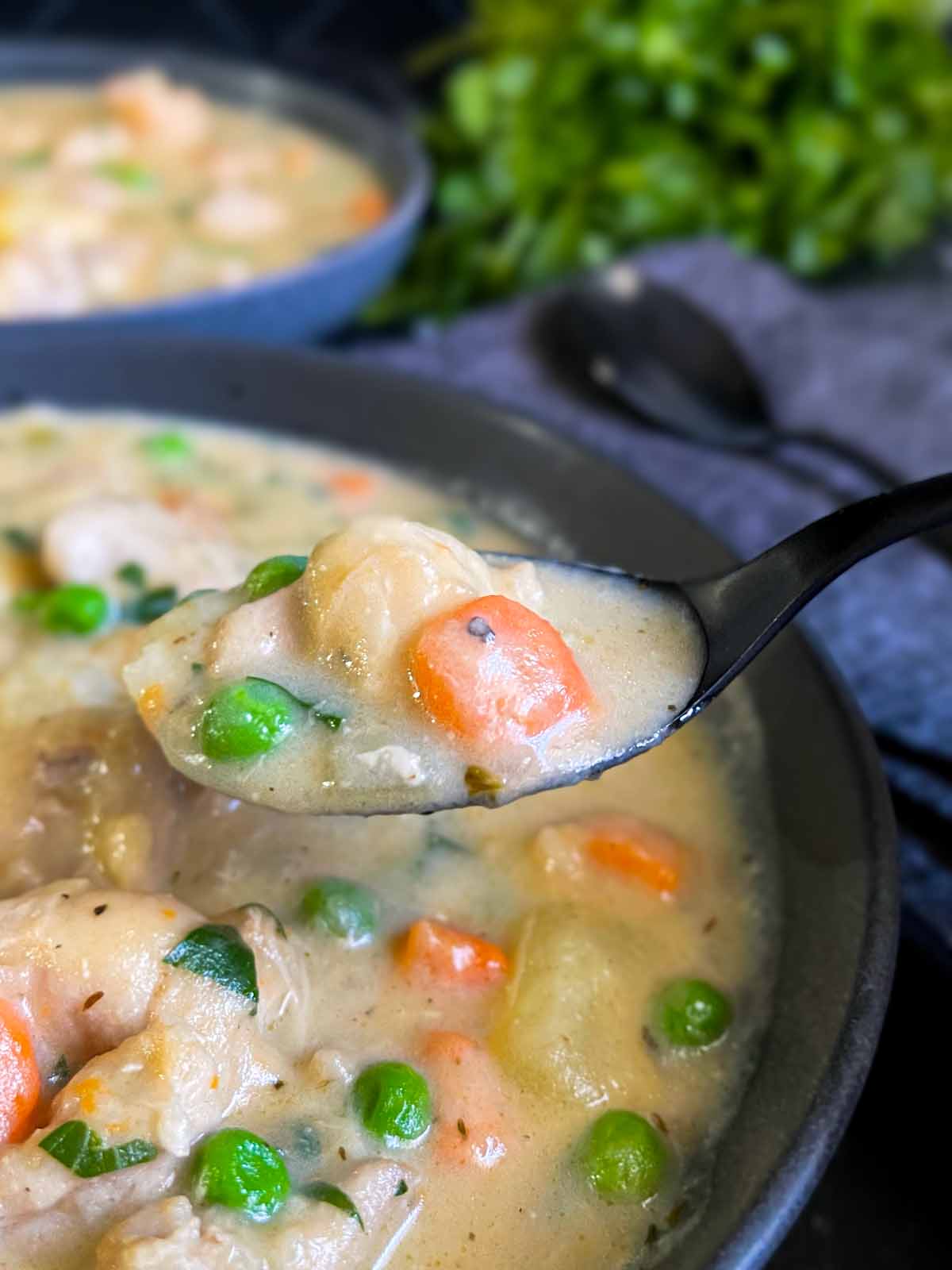 Easy Creamy One Pot Chicken Stew - Don't Sweat The Recipe